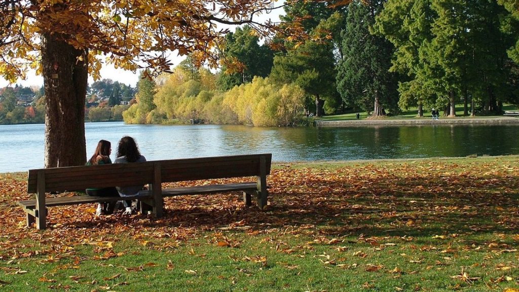 Best parks to visit in Seattle with children - EastLake News