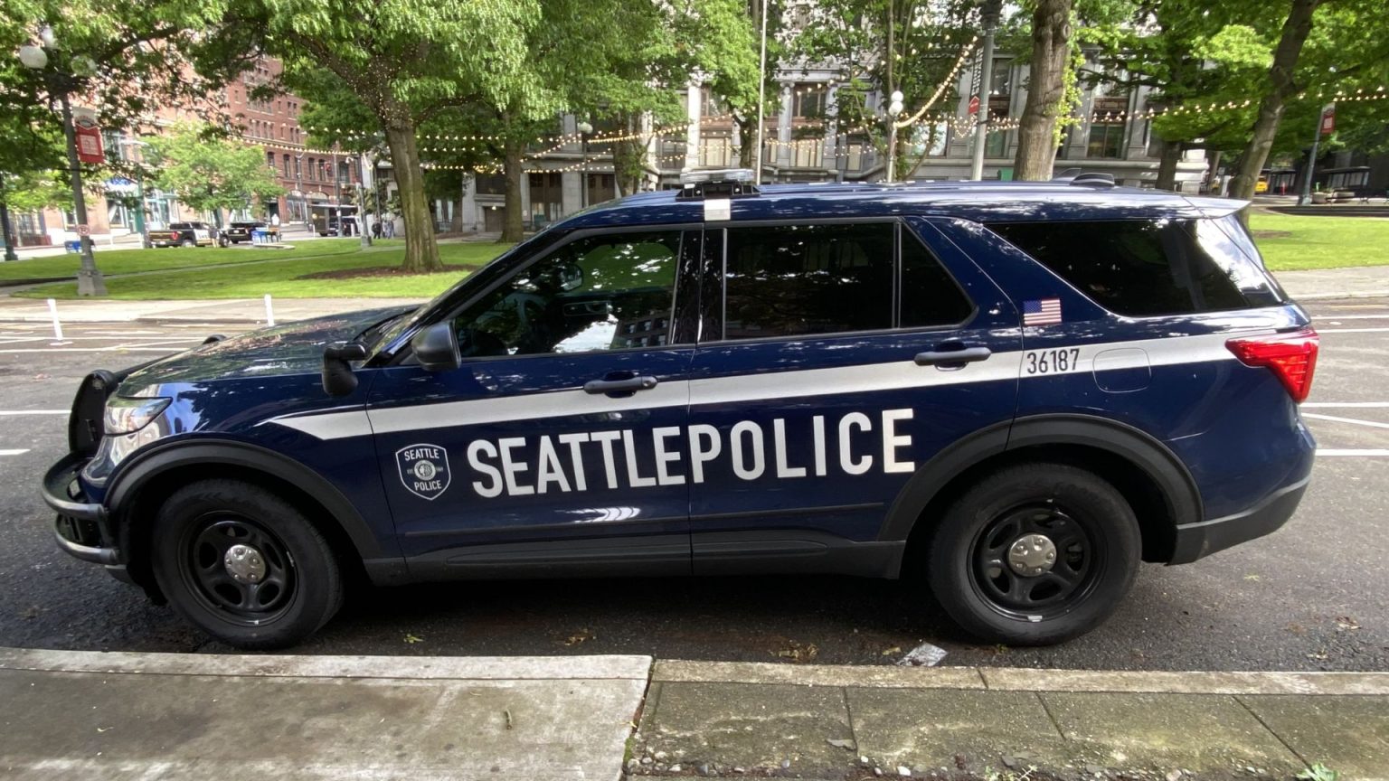 Seattle police search for suspect after back-to-back stabbings leave ...